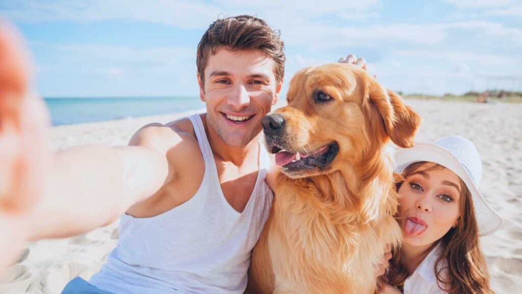 which profile pics are most likely to get you a date?